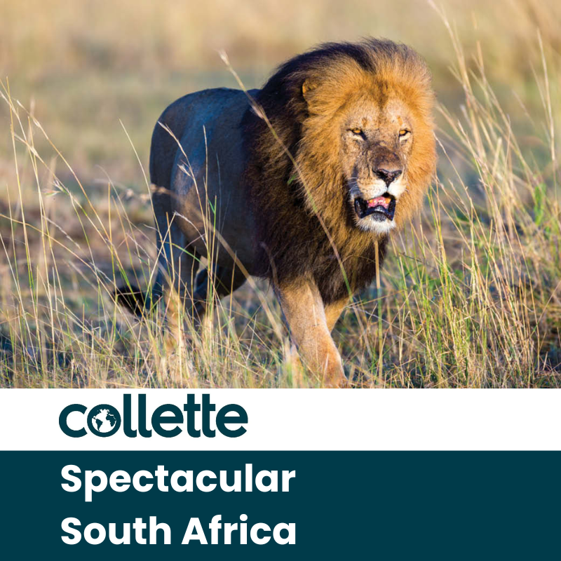 Spectacular South Africa – Collette Tours – where2travel